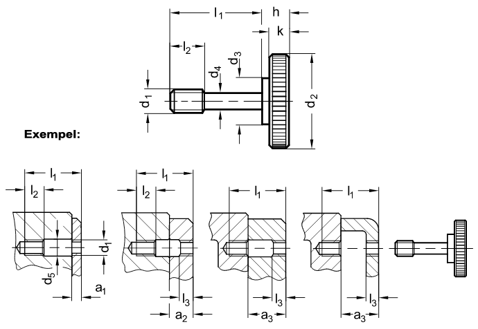 Oförlorbar letterskruv i brunerat eller rostfritt stål